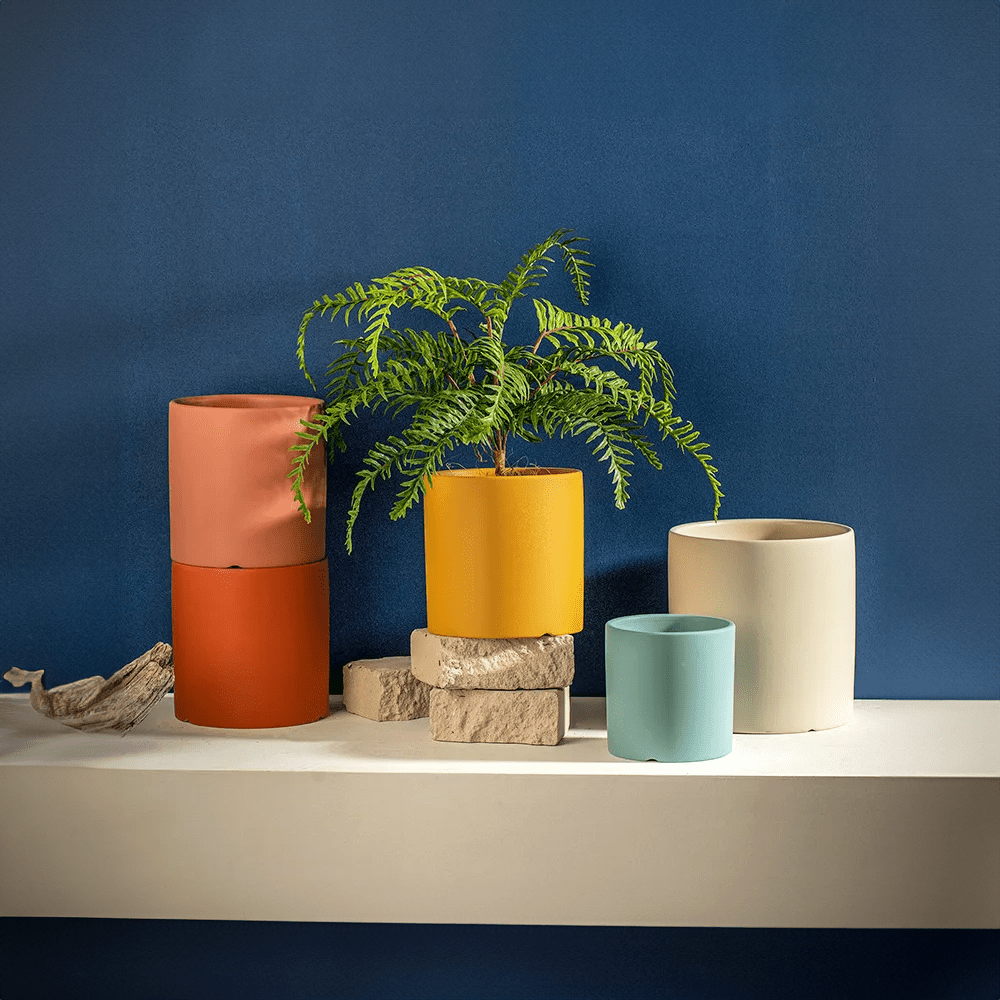 Colourful Ceramic Flower Pot with Drainage Modern Design – Civaro